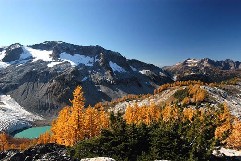 RCCL Alaska - CruiseDirect.com